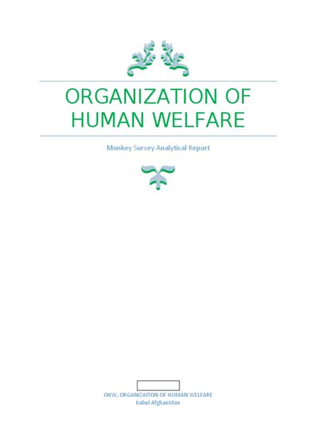 Monkey Survey Analytical Report Pdf Questionnaire Question