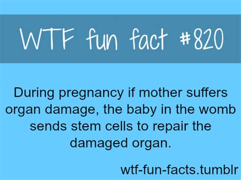 Sex Facts