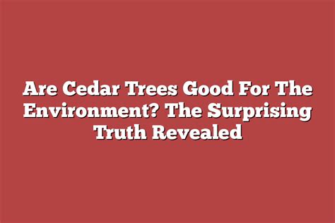 Are Cedar Trees Good For The Environment The Surprising Truth Revealed