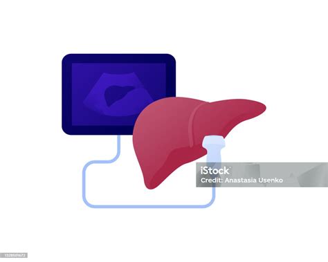 의료 초음파 절차 개념 벡터 플랫 헬스케어 일러스트레이션 간학 및 간 진단 색상 아이콘 기호 초음파 장치 기호 건강 관리를 위한