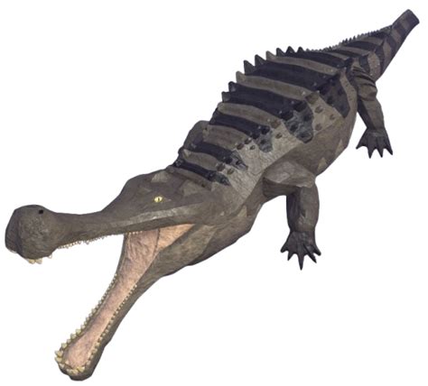 Sarcosuchus Dinosaur Simulator Wikia Fandom Powered By Wikia