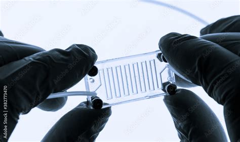 Organ On Chip OOC And Lab On Chip LOC Microfluidic Device Chip That Simulates Biological