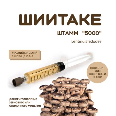 Жидкий мицелий шиитаке штамм "5000" - купить по выгодным ценам в ...