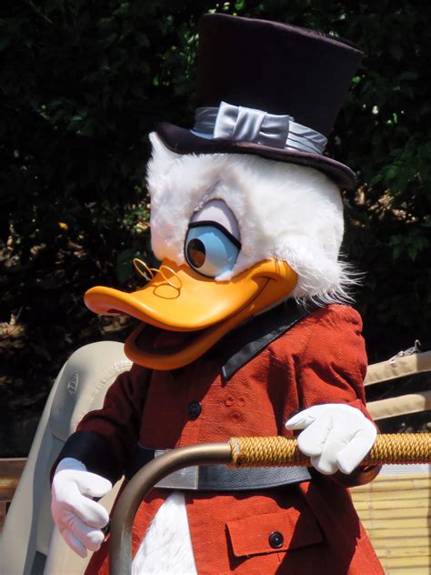 Theme Park Photos And More Scrooge Mcduck