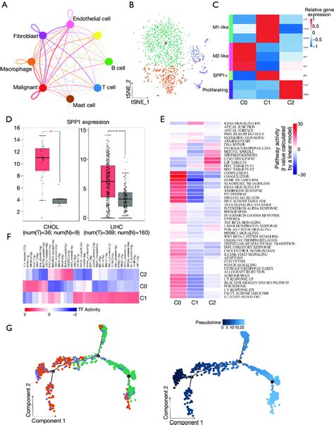 Cellphonedb Plot