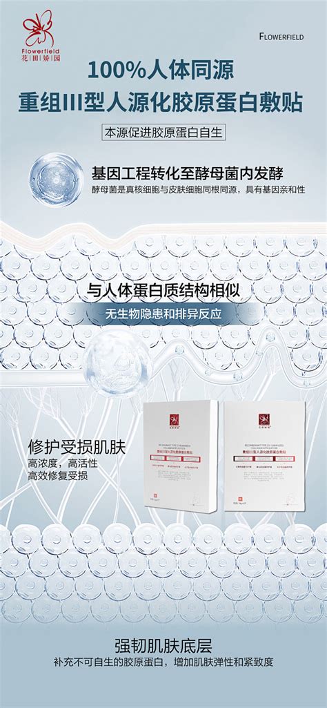 重组Ⅲ型人源化胶原蛋白敷贴