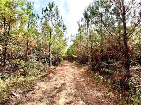 Chilton County Road 101 Plantersville Al 36758