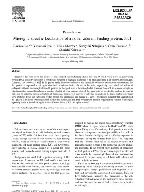 Microglia Specific Localisation Of A Novel Calcium Binding Protein