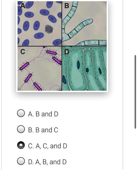 A B C A B And D B B And C C A C And D D A B And D