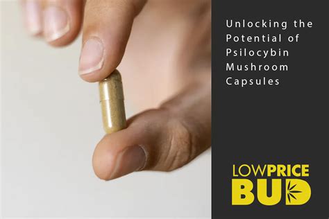 Unlocking The Potential Of Psilocybin Mushroom Capsules Low Price Bud