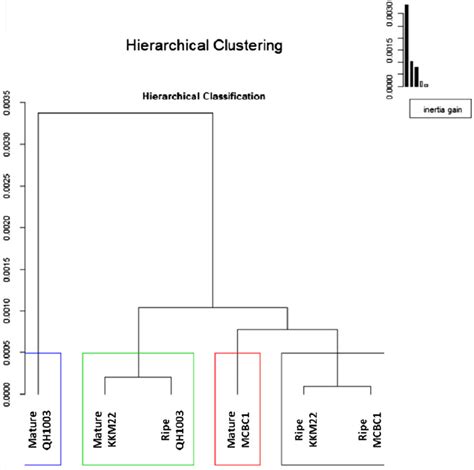 Dendrogram Of The Cluster Analysis For The Different Cacao Genotypes