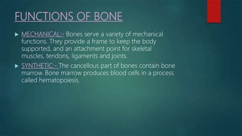 Bone Tissue Engineering Pptx Bone And Joint Conditions Diseases And Conditions