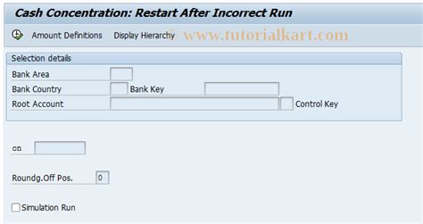 f9h5 sap tcode cash concentration restart