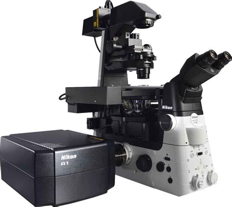 Confocal Microscope Parts And Functions At Abigail Douglas Blog