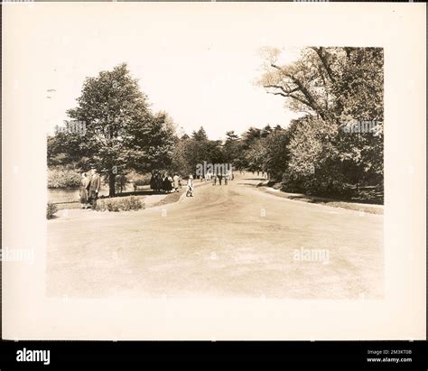 People Walking Along Road By A Body Of Water Roads Trees Bodies Of