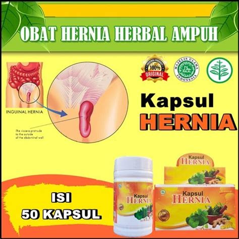 Jual Hernia Kapsul Hernia Original Isi 50 Kapsul Ash Shihhah Kapsul