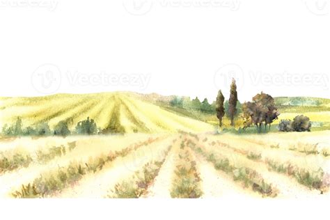 Agricultural Field Pngs For Free Download