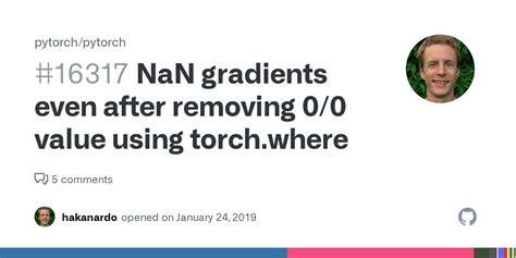 nan gradients even after removing 0 0 value using torch where · issue