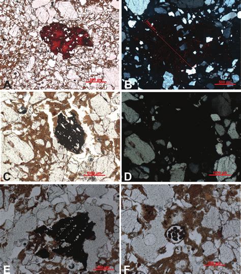 Fotomicrografías del portaobjetos LR 02 A Nódulo órtico con aumento Download Scientific