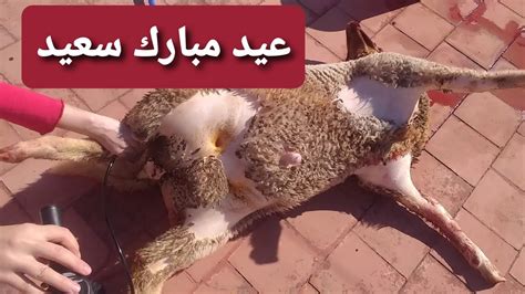 أجواء العيد معنا😂 سلخت الحولي بوحدي 💪 عيد مبارك سعيد 🐏🐏 Youtube