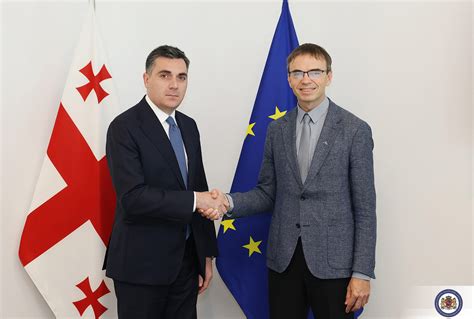 საქართველოს საგარეო საქმეთა მინისტრი საქართველოს შესახებ