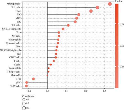 Immune Infiltration Analysis Of Cyp26a1 Notes A Ssgsea Algorithm