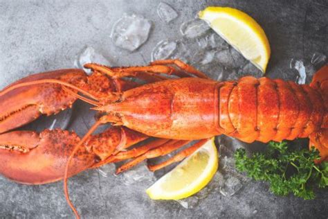 Mystic Ct Restaurants Events Shopping Attractions And Things To Do In
