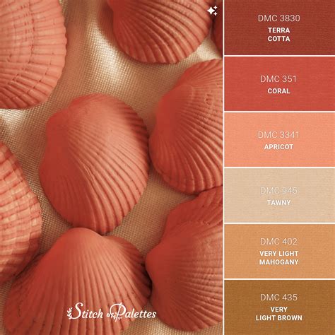 Seashell Collection Embroidery Color Palette With Thread Codes