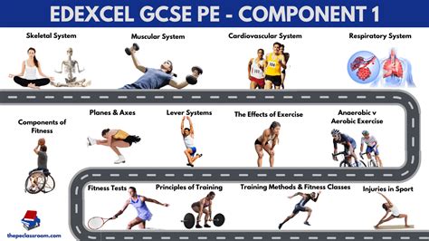 Edexcel Gcse Additional Resources Term 1 The Pe Classroom