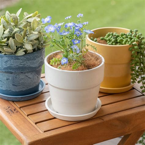 【楽天市場】植木鉢 プランツポット 4号鉢 プラスチック 無地 受け皿付き プランター 直径135cm 4号 鉢カバー プランターカバー