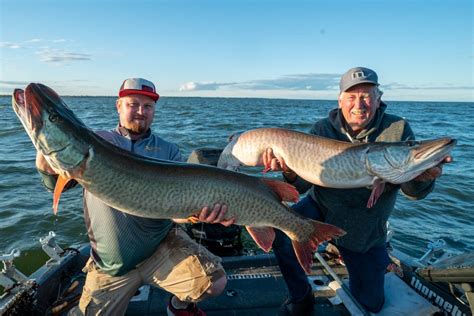 Fish Of 10000 Casts Why Muskies Are Hard To Catch Outdoor Life
