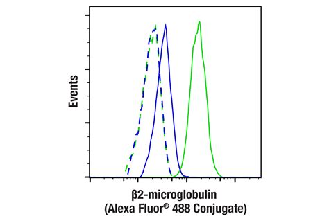 β microglobulin E G O Rabbit mAb Alexa Fluor Conjugate Cell Signaling Technology