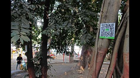 Now Scan Qr Code To Know About Trees At Empress Garden Hindustan Times