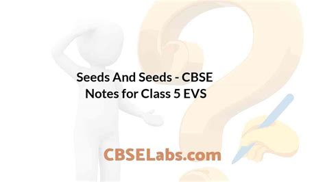 Seeds And Seeds Cbse Notes For Class 5 Evs Cbse Labs