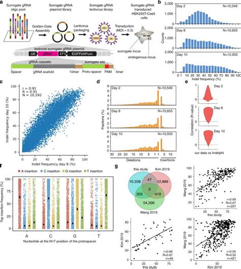 Jan Gorodkin På Linkedin Enhancing Crispr Cas9 Grna Efficiency