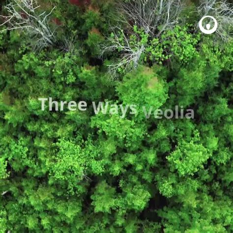 Daniel Compton Chmm On Linkedin Do You Have A Strategic Plan To Achieve Organizational