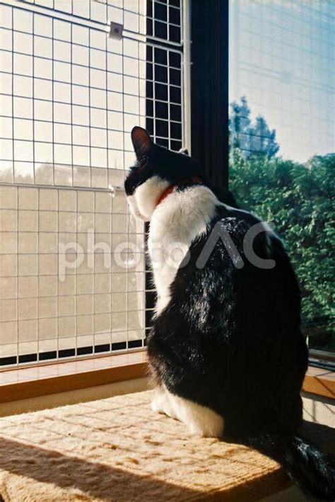No Ac Ok