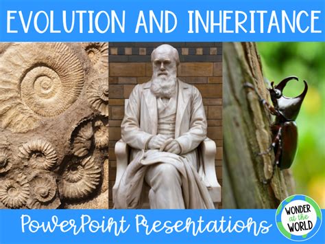 Year 6 Evolution And Inheritance PowerPoint Bundle Teaching Resources