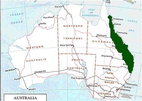 Daintree Rainforest The Biome