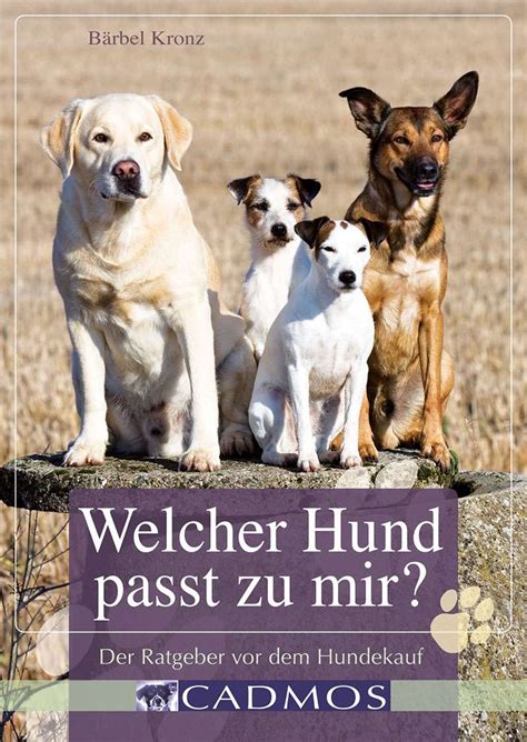 Welcher Hund Passt Zu Mir Haltung Pflege Zucht Hunde CADMOS Shop