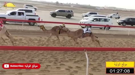 الشوط 12 براق لـ محمد سعيد رمضان المنصوري 22171 ، شارة الصندوق 2020
