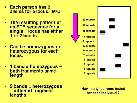 Ppt Advantages Of Str Analysis Powerpoint Presentation Free Download