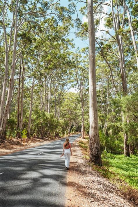 Things To Do In Margaret River That Prove It S A Paradise