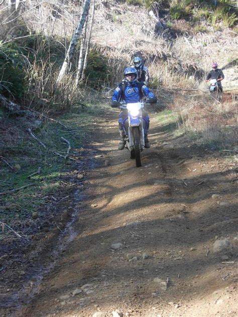 Tillamook Ohvjordan Creek To Trask Adventure Rider