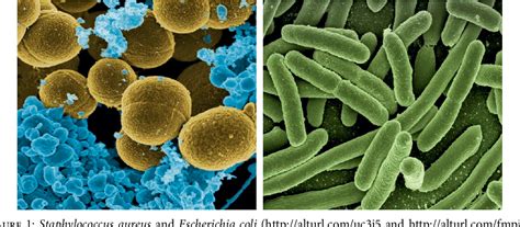 Figure 1 From Nanomaterial Antibacterial Technology In The Design Of Antibacterial Fabrics For