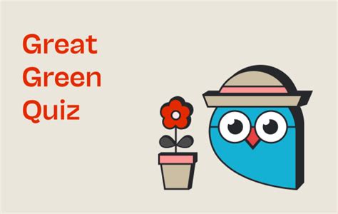 Owl Explains — Quizzes