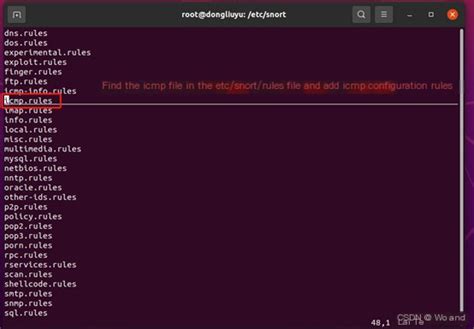 step by step guide ubuntu snort installation and configuration for