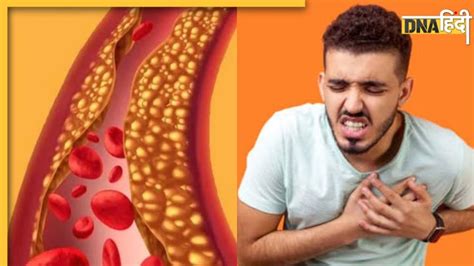 Healthy Seeds Latest News And Updates In Hindi Healthy Seeds के
