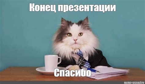 смешной конец к презентации 93 фо Мемы Презентация Веселые мемы