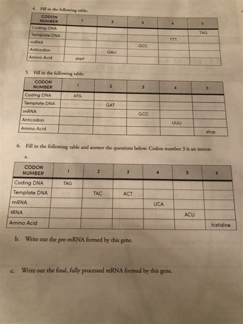 Solved Fill In The Following Table CODON NUMBER Coding Chegg Com